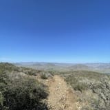 Prefumo Canyon Vista Point Trail, California - 265 Reviews, Map | AllTrails
