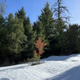 Mara Mountain Cliffs South, British Columbia, Canada - 96 Reviews, Map ...