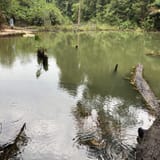 Bukit Ulu Choh, Johor, Malaysia - 14 Reviews, Map | AllTrails