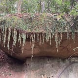 Bukit Ulu Choh, Johor, Malaysia - 14 Reviews, Map | AllTrails