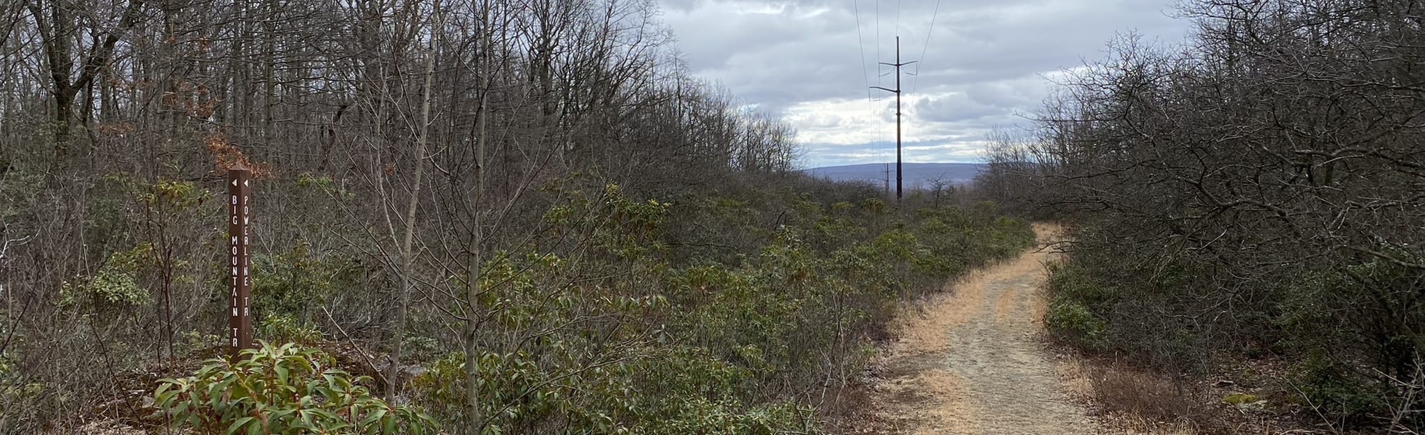 Big Mountain Trail: 35 Reviews, Map - Pennsylvania | AllTrails