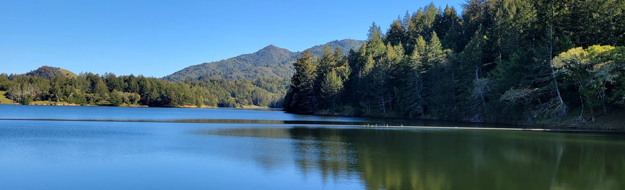 Kent Trail to Stocking Trail, Rocky Ridge Fire Road: 922 Reviews, Map ...