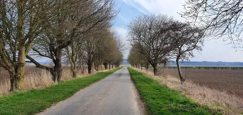 Best Walking Trails in Laughton | AllTrails