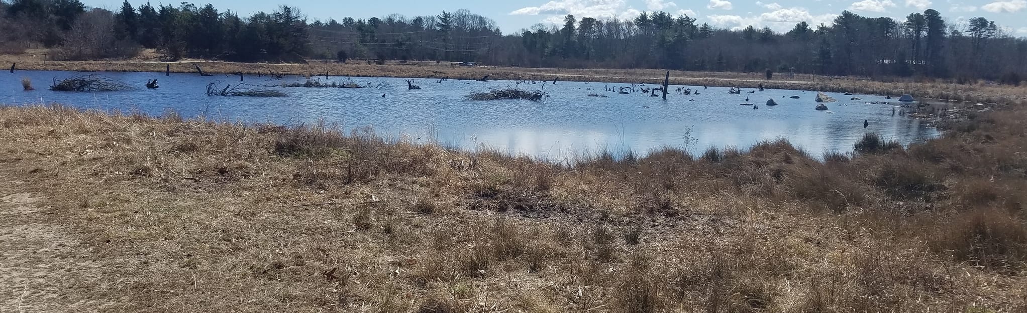 Foothills Preserve Long Loop: 48 Reviews, Map - Massachusetts | AllTrails