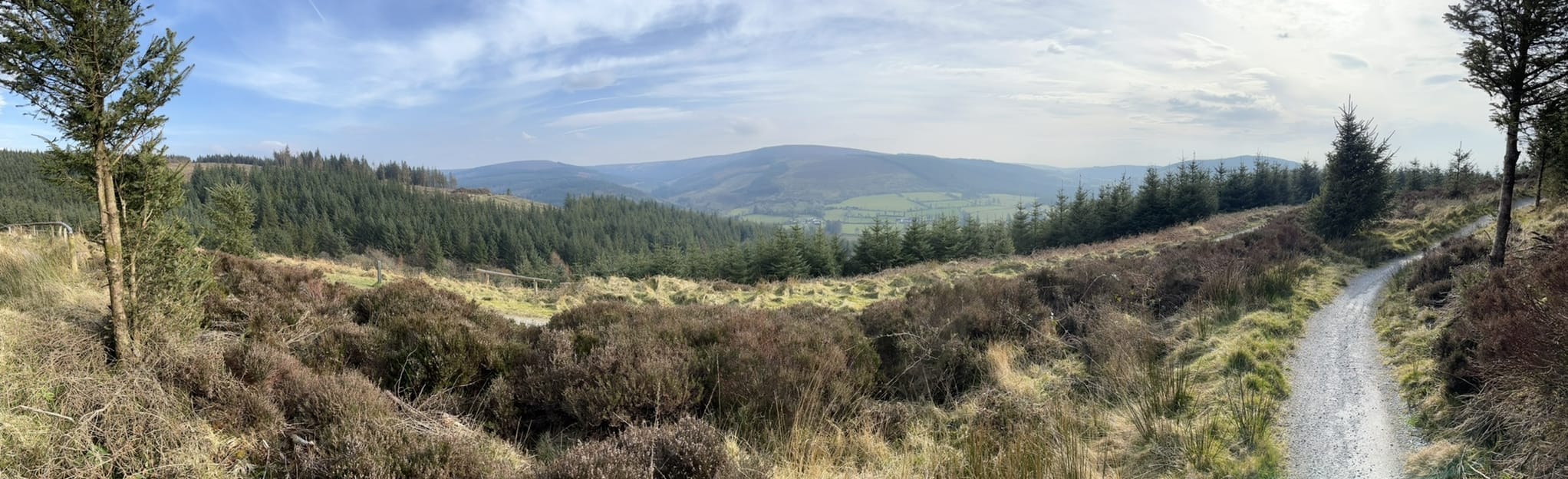 AllTrails | Glinsk Castle Loop: 123 Reviews, Map - County Offaly, Ireland