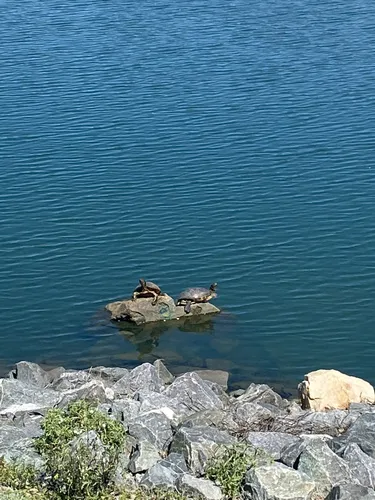 Best Hikes and Trails in Pineville Lake Park | AllTrails