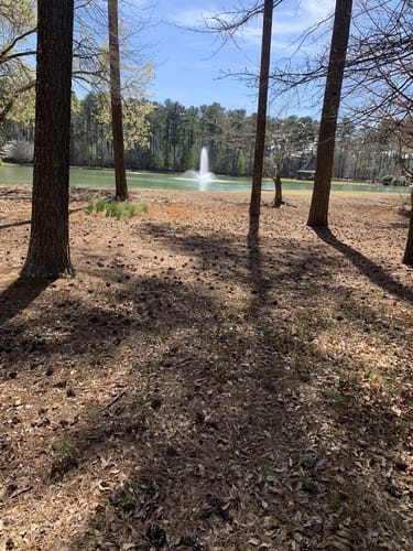 Best Hikes and Trails in Dellinger Park | AllTrails