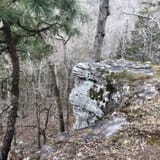 Overlook Trail at Buffalo Point, Arkansas - 216 Reviews, Map | AllTrails