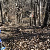 Trumbull Loop, Connecticut - 333 Reviews, Map | AllTrails