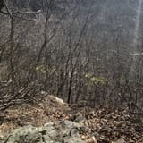 Trumbull Loop, Connecticut - 333 Reviews, Map | AllTrails