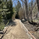 Steamboat Ditch Trail, Nevada - 247 Reviews, Map | AllTrails