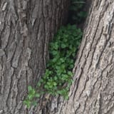 Windolph Landing Preserve Trail, Pennsylvania - 95 Reviews, Map | AllTrails