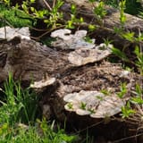 Windolph Landing Preserve Trail, Pennsylvania - 95 Reviews, Map | AllTrails