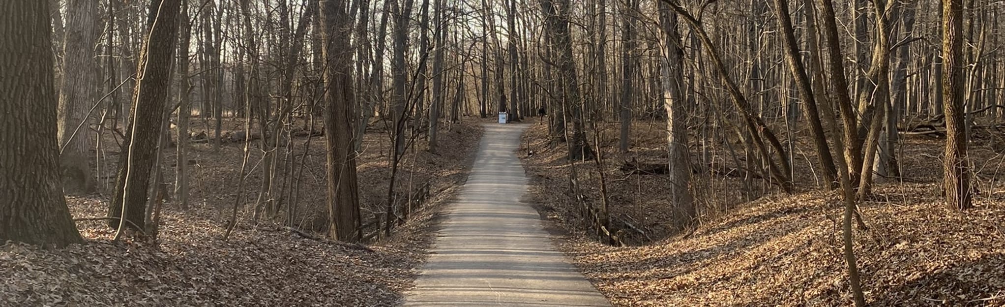 Wildwood Preserve Loop, Ohio - 329 Reviews, Map | AllTrails