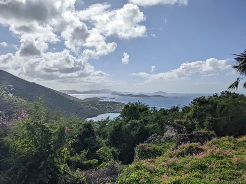 10 Best Hikes and Trails in Virgin Islands National Park | AllTrails