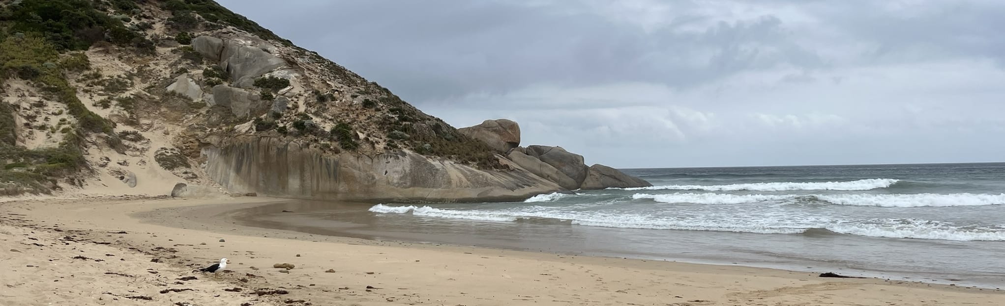 Darby Beach Track: 9 Reviews, Map - Victoria, Australia | AllTrails