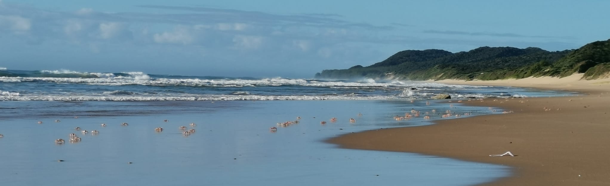 Cape Vidal Beach Walk, Kwazulu-Natal, South Africa - Map, Guide | AllTrails