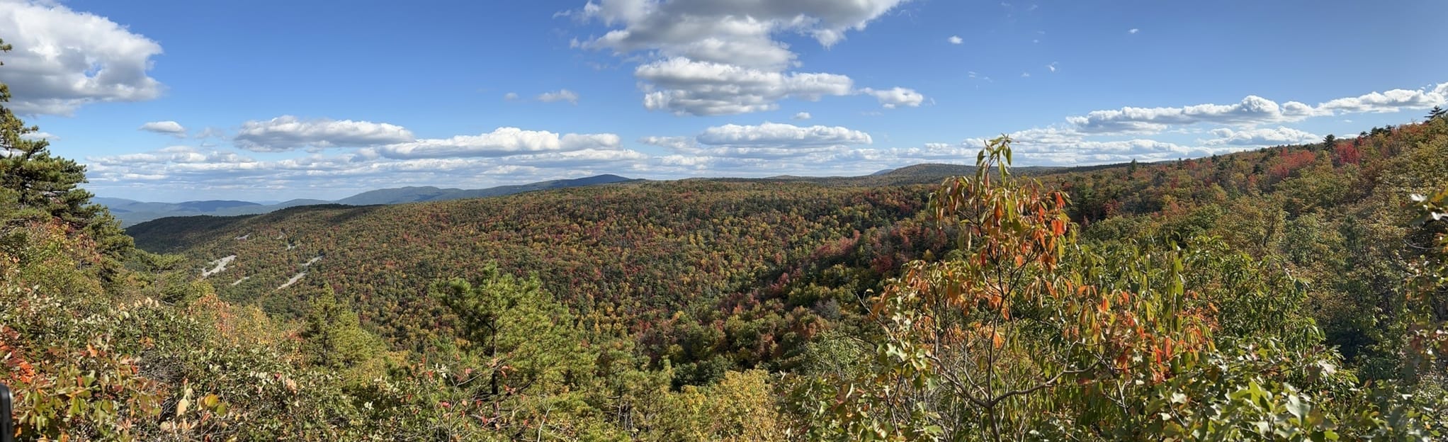 Cold Spring Bald Mountain Jeep Trail, Virginia - 190 Reviews, Map ...