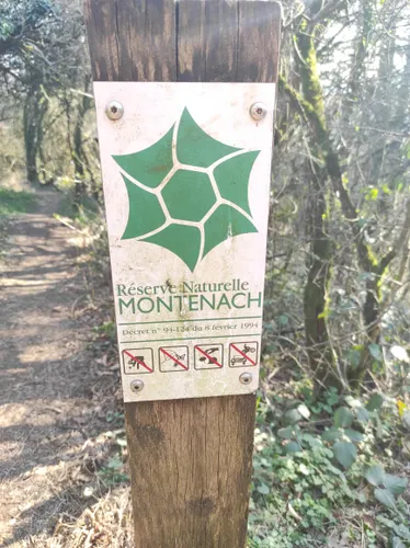 Best Hikes and Trails in Réserve Naturelle de Montenach | AllTrails