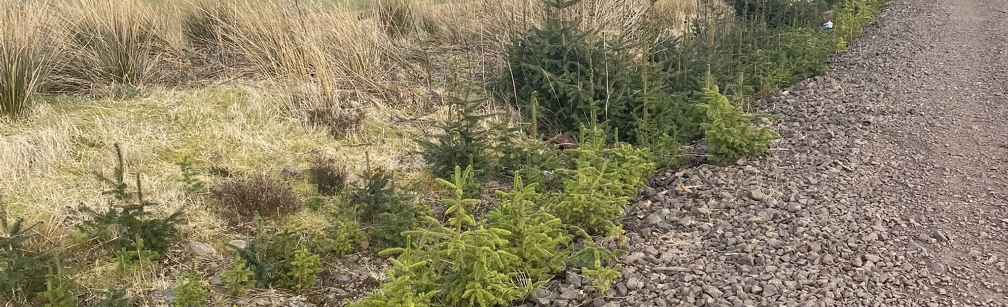 Barwood to North Barr: 8 Reviews, Map - West Dunbartonshire, Scotland ...