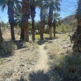 Jack Rabbit Trail, California - 311 Reviews, Map | AllTrails
