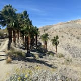 Jack Rabbit Trail, California - 311 Reviews, Map | AllTrails