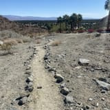 Jack Rabbit Trail, California - 311 Reviews, Map | AllTrails