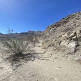 Jack Rabbit Trail, California - 311 Reviews, Map | AllTrails
