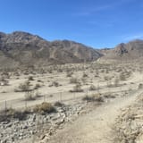 Jack Rabbit Trail, California - 311 Reviews, Map | AllTrails