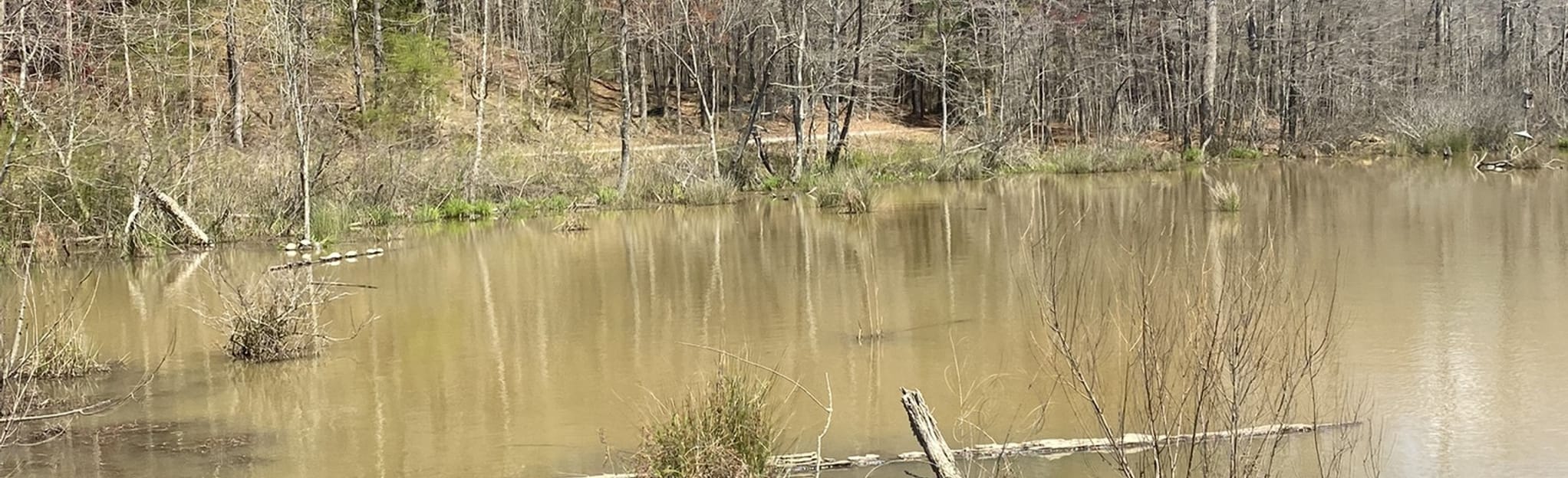 Ivy Creek Greenway, Georgia - 658 Reviews, Map | AllTrails