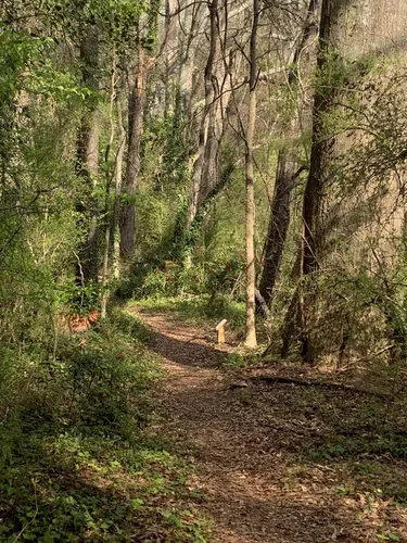 Best Hikes and Trails in Clemson | AllTrails