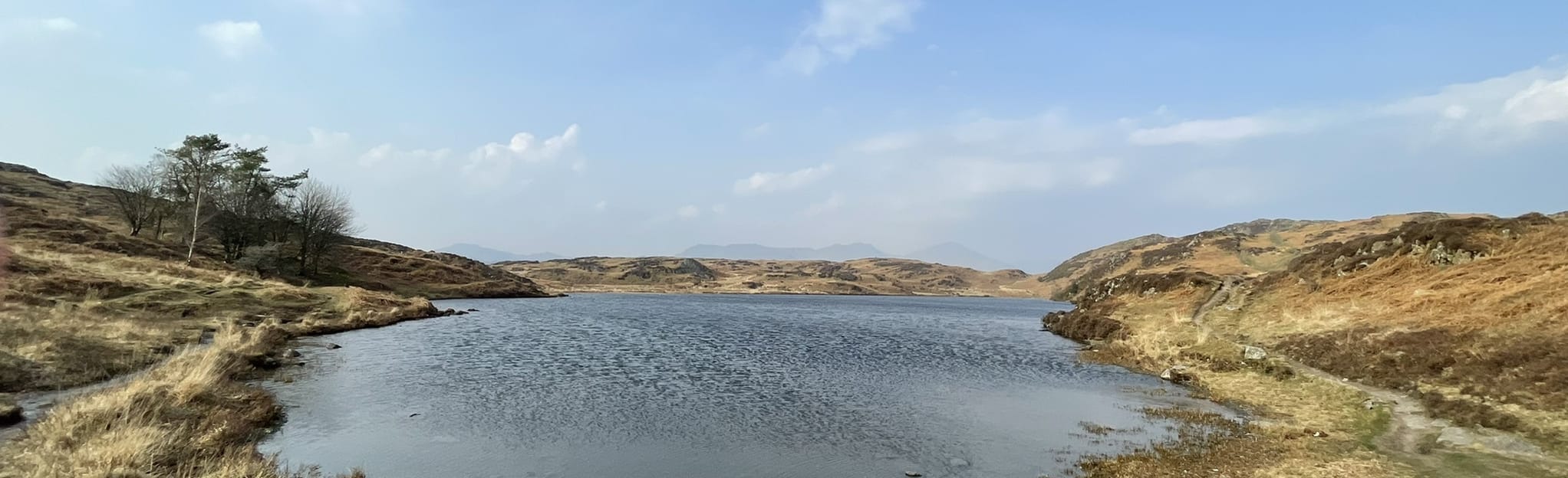 Brown Howe Wood and Beacon Tarn Circular - Cumbria, England | AllTrails
