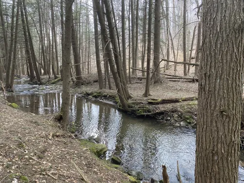 2023 Best Moderate Trails in Prompton State Park | AllTrails