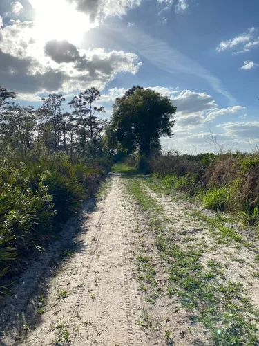 Best Hikes and Trails in Shell Creek Preserve | AllTrails