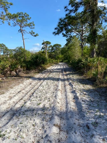 Best Hikes and Trails in Shell Creek Preserve | AllTrails