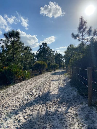 Best Hikes and Trails in Shell Creek Preserve | AllTrails