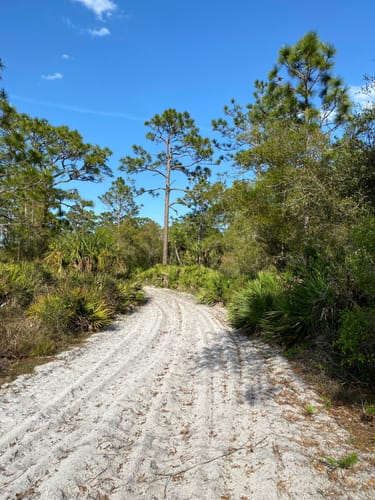 Best Hikes and Trails in Shell Creek Preserve | AllTrails