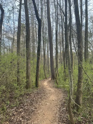 10 Best Trails and Hikes in Athens | AllTrails