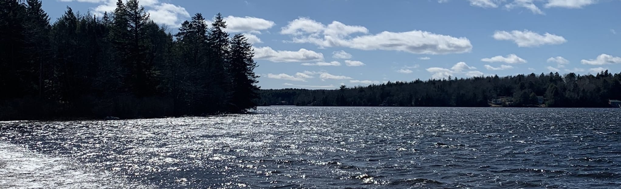 Sandy Lake Park Loop Trail: 254 Reviews, Map - Nova Scotia, Canada ...