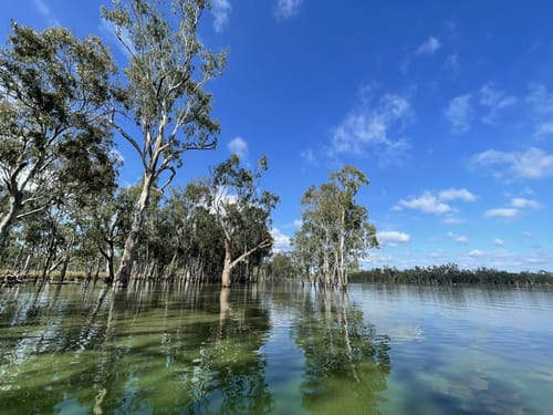 Best Hikes and Trails in Lake Broadwater Conservation Park | AllTrails