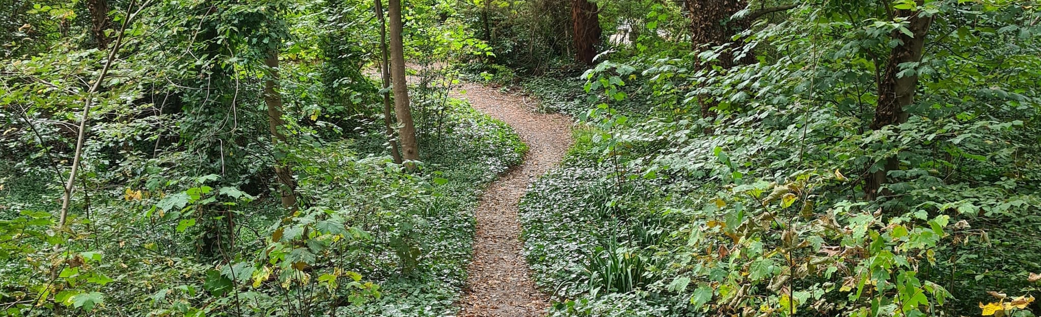 Crafers to Stirling Circuit, South Australia, Australia - 52 Reviews ...