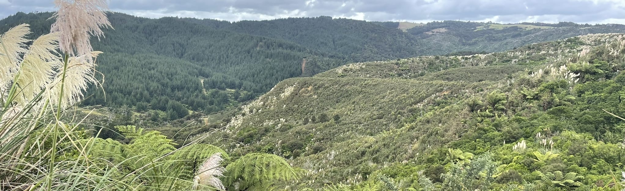 Puhoi to Dome Valley | Map, Guide - Auckland, New Zealand | AllTrails