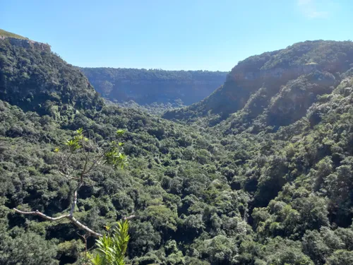 Best Kid Friendly Trails in Kloof | AllTrails