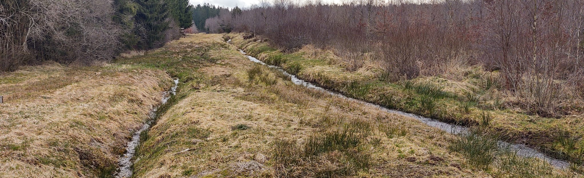 La forêt infinie (Le Bois de Rodt) - Liège, Belgium | AllTrails