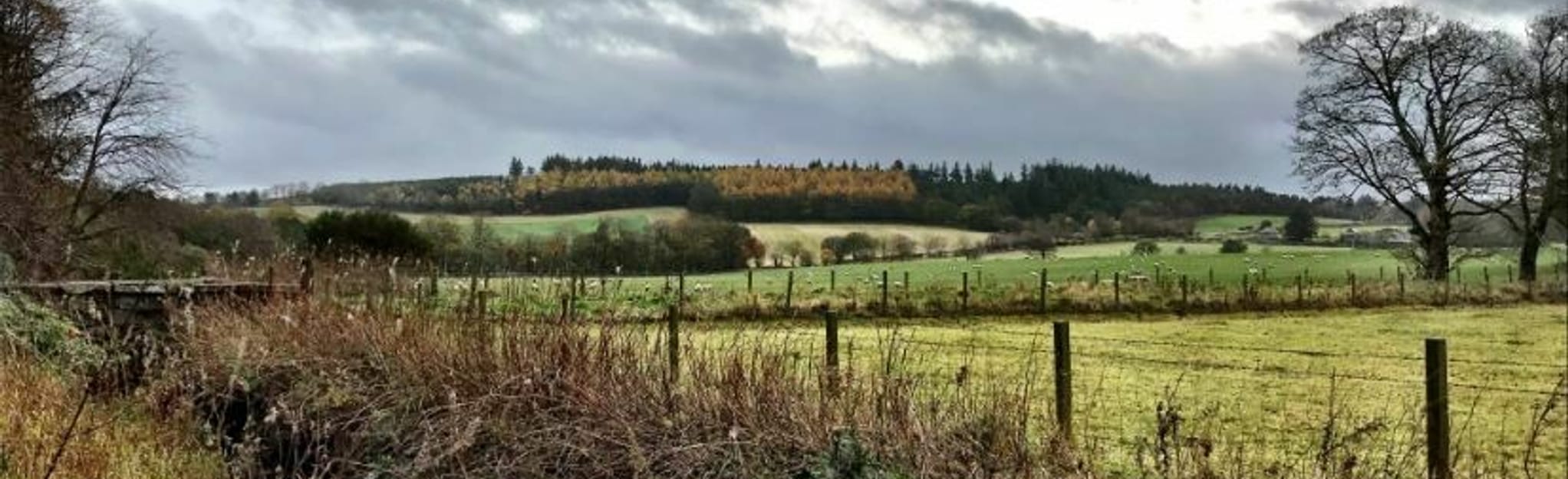 Strichen Loch and Stone Circle Circular, Aberdeenshire, Scotland - 13 ...