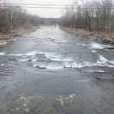 Levee Loop, Pennsylvania - 213 Reviews, Map | AllTrails