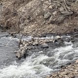 Levee Loop, Pennsylvania - 213 Reviews, Map | AllTrails