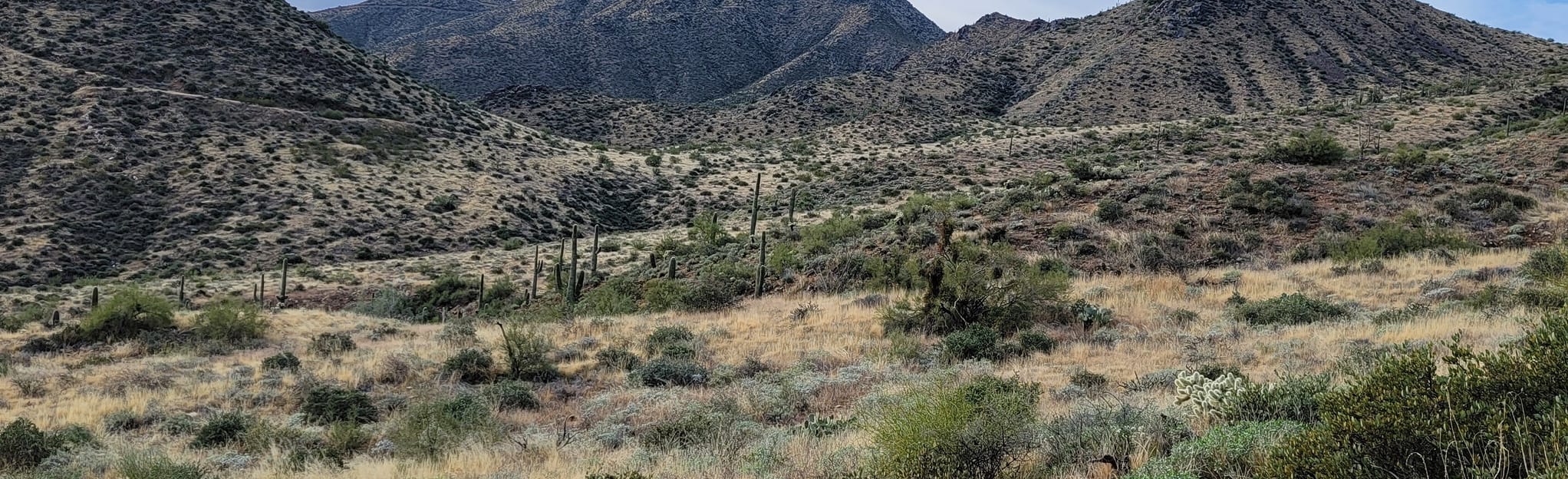 Dixie Mine, Coachwhip, Windmill, Bell Pass and Prospector Loop: 93 ...