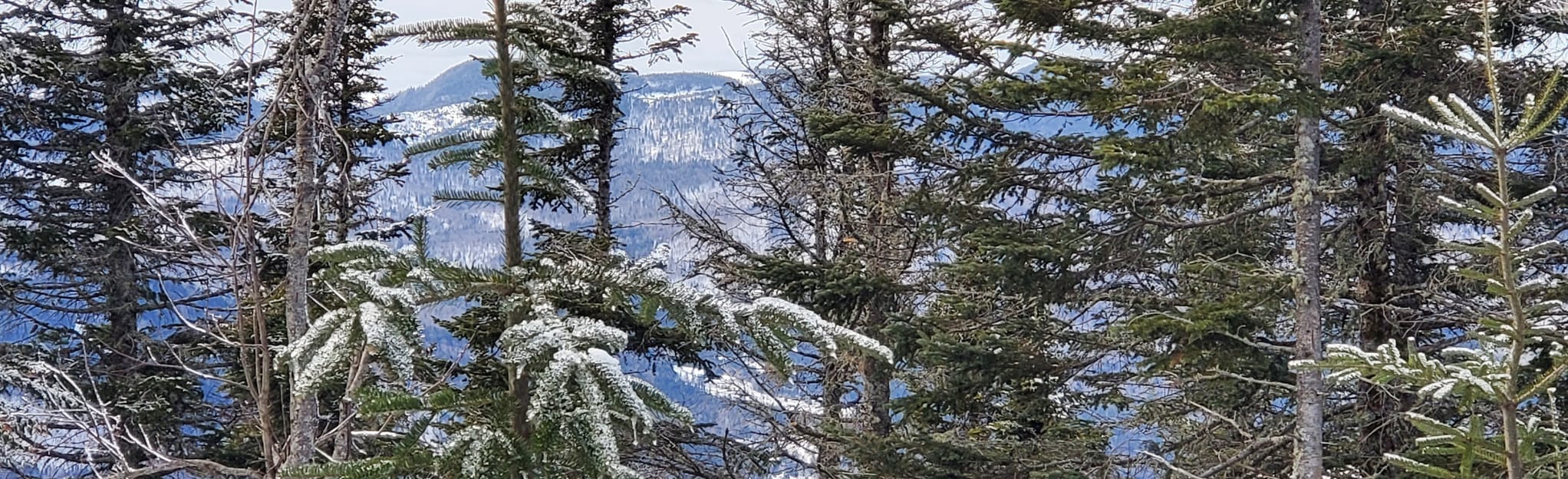 Randonnée du Mont du Lac-de-Vase, Quebec, Canada - Map, Guide | AllTrails