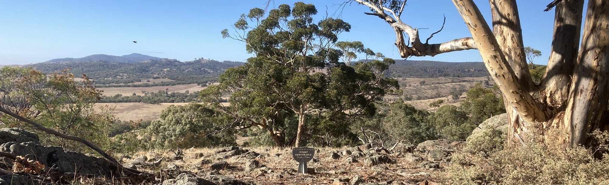 Mount Maria Walk, South Australia, Australia - 9 Reviews, Map | AllTrails